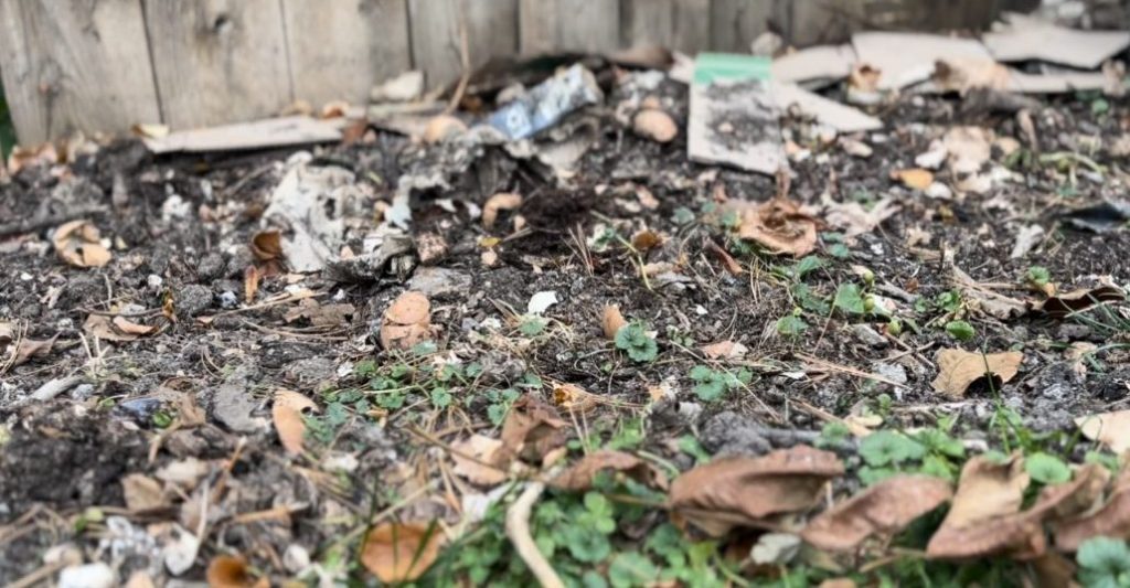 How to get Rid of Maggots in Compost? - Art of Traditions